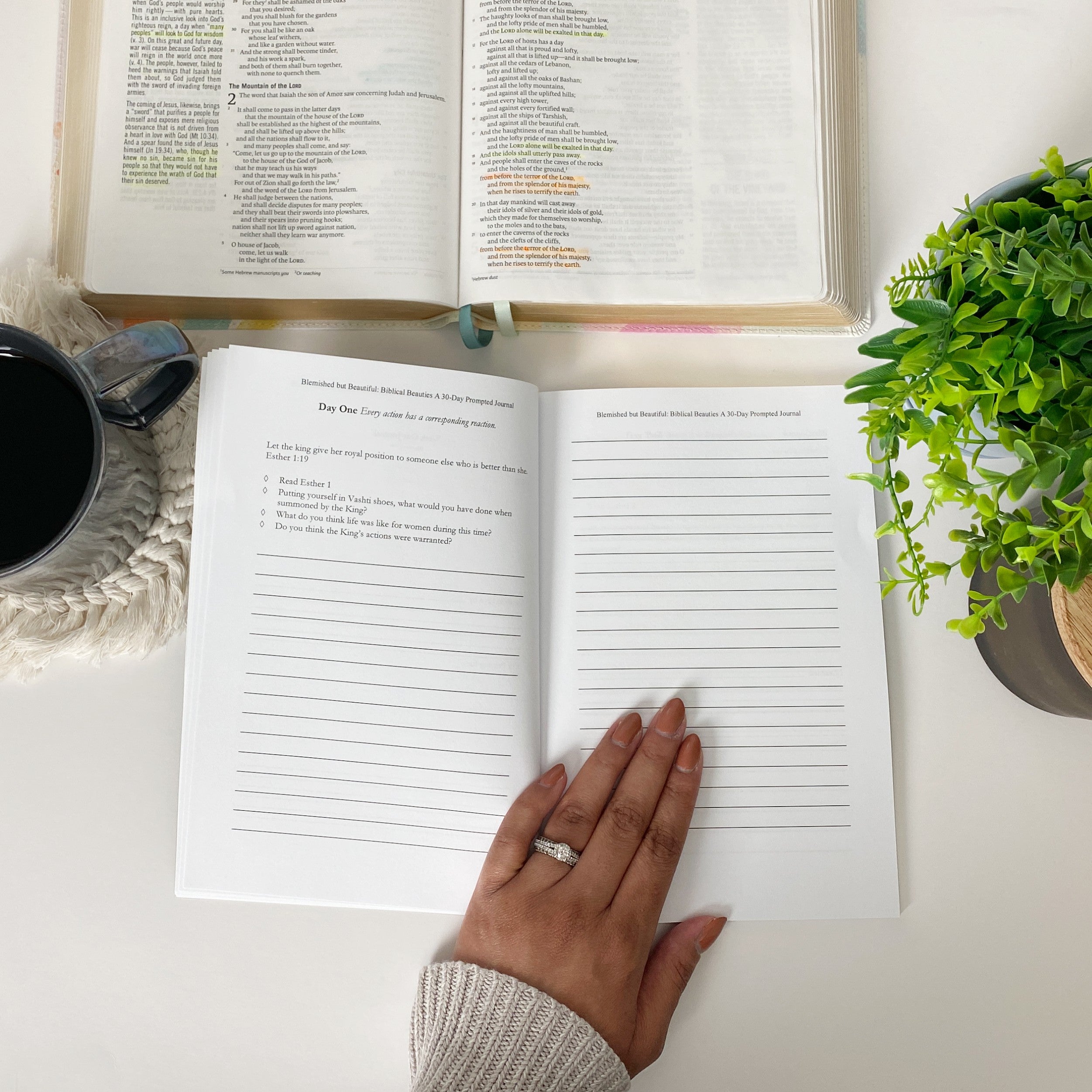 Bible Study for Women Series – Dear Bold Believer